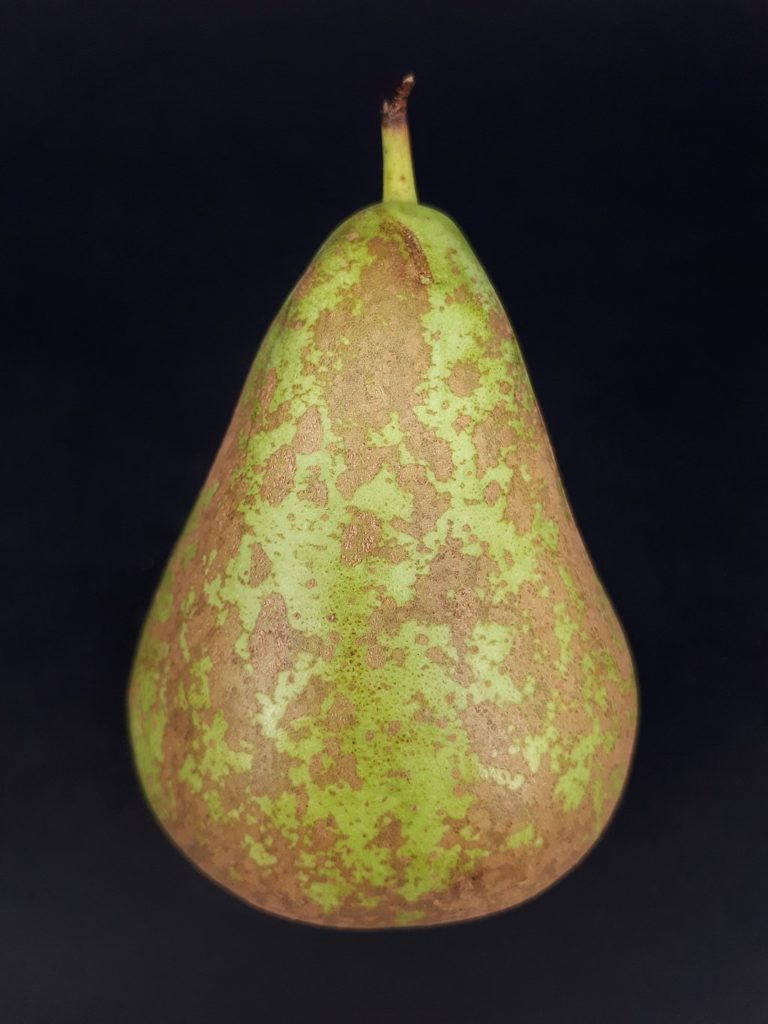 Pears | Cultiva