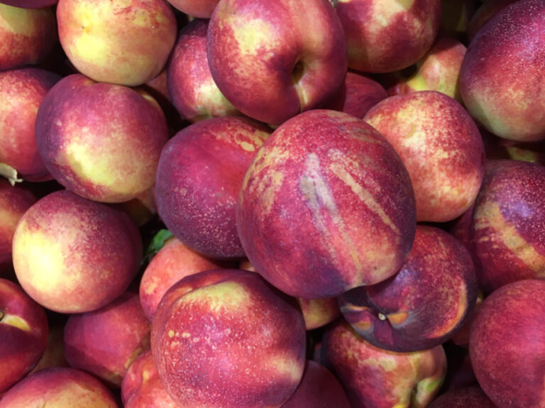 Stress and Strain in the Fruit Skin and Cuticle | Cultiva