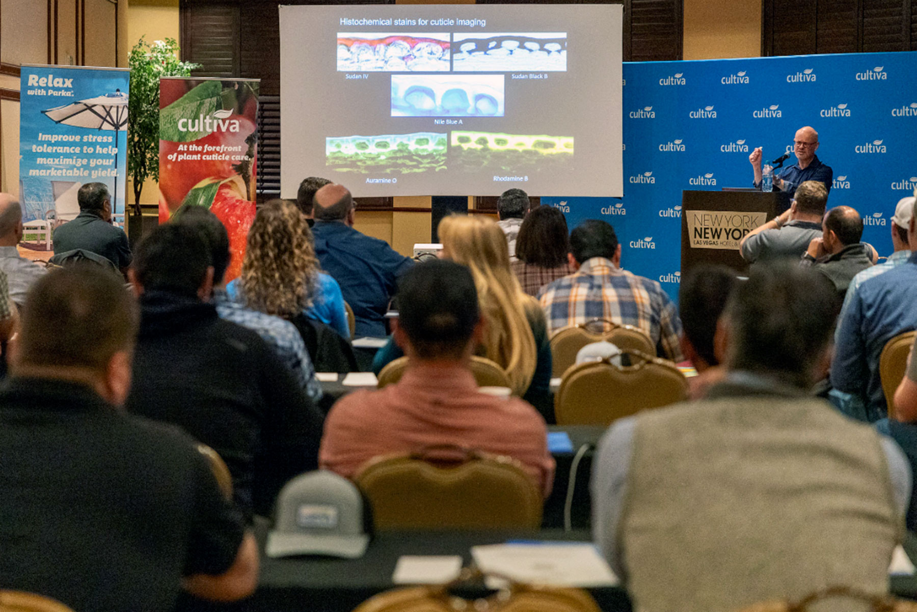 Cuticle 101 with Dr. Jocelyn Rose | Cultiva